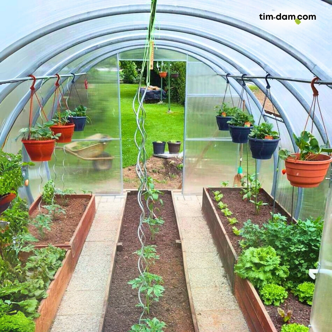 Comprehensive Protection for Your Greenhouse – TIM-DAM