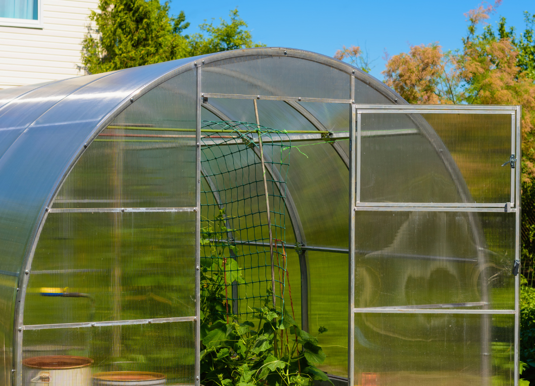 Comprehensive Guide to Choosing the Best Greenhouse for Your Home – TIM-DAM